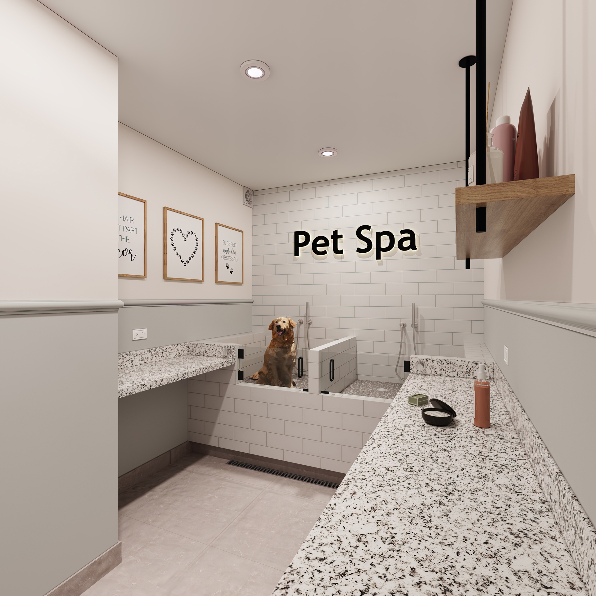 Departamentos en San Miguel - Proyecto Patriotas